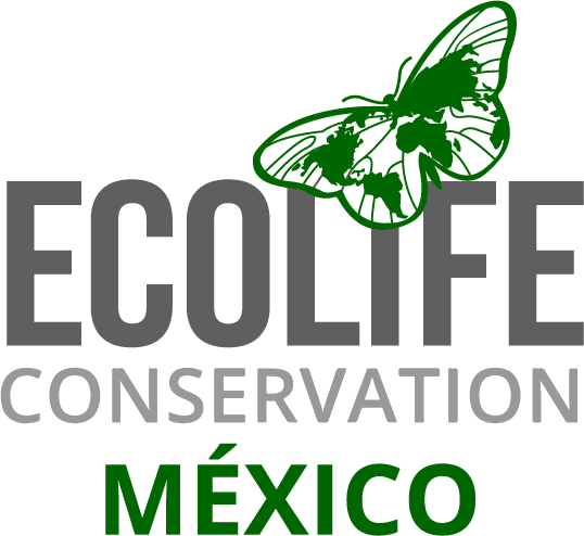 ECOLIFE Conservation - Rutas